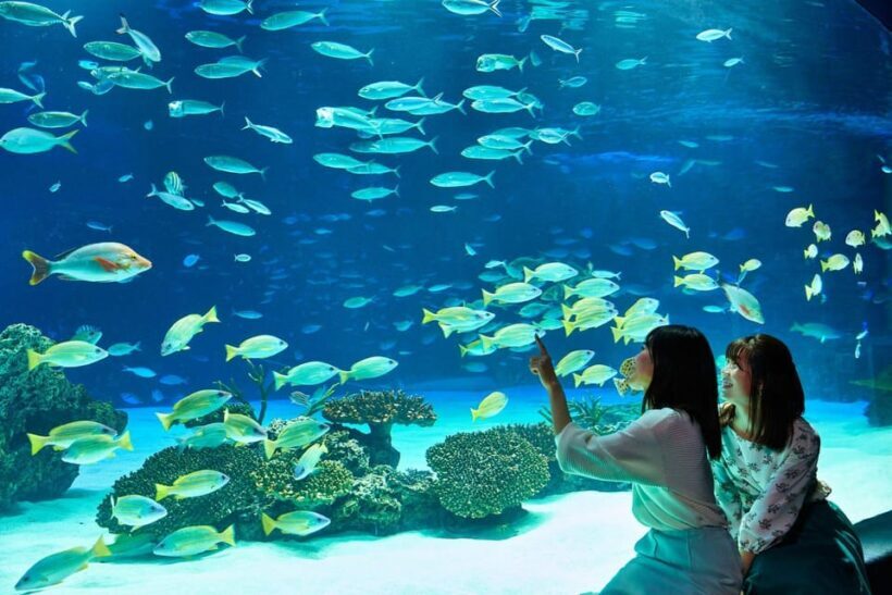 Tokyo: Sunshine Aquarium Entry Ticket - Key Points