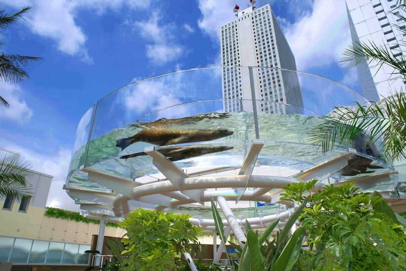Tokyo: Sunshine Aquarium Entry Ticket - An Introduction to the Sunshine Aquarium Experience