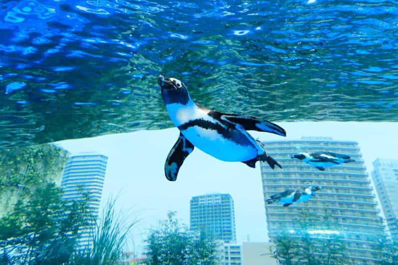 Tokyo: Sunshine Aquarium Entry Ticket - Final Thoughts