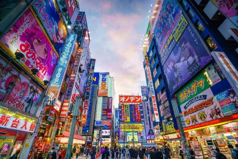 Tokyo: Tailored Shopping Escape Tour - What to Expect Throughout the Day