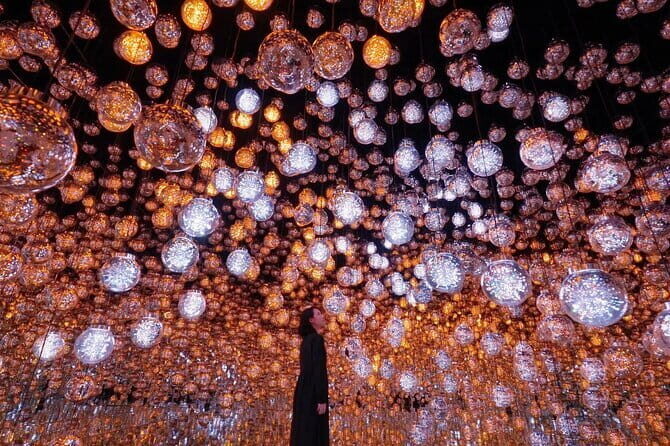 Tokyo: teamLab Borderless Museum Admission Ticket - What is the Tokyo teamLab Borderless Museum?
