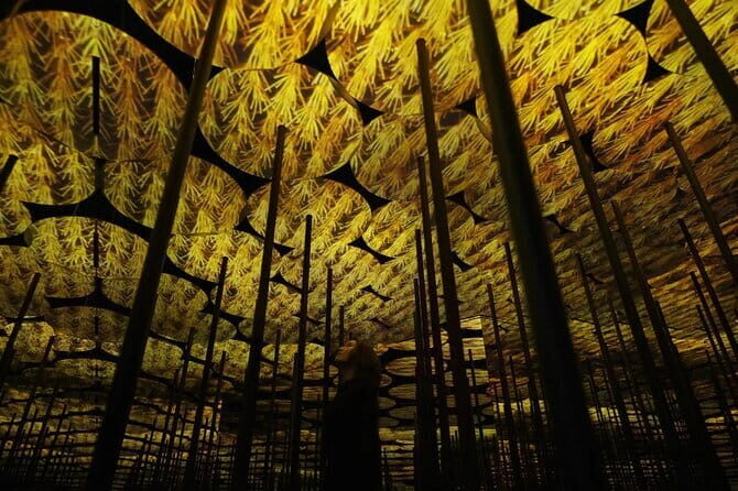 Tokyo: teamLab Borderless Museum Admission Ticket - Practical Details and Tips