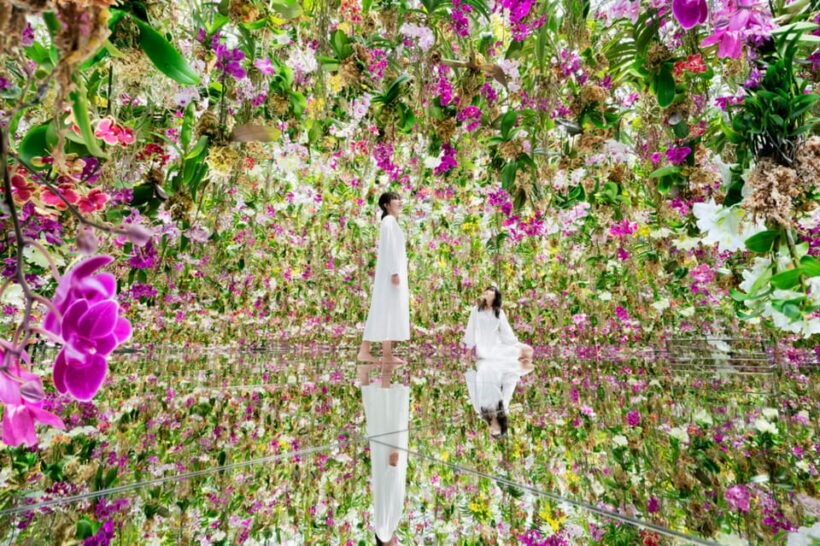 Tokyo: teamLab Planets TOKYO Digital Art Museum Entry Ticket - Key Points