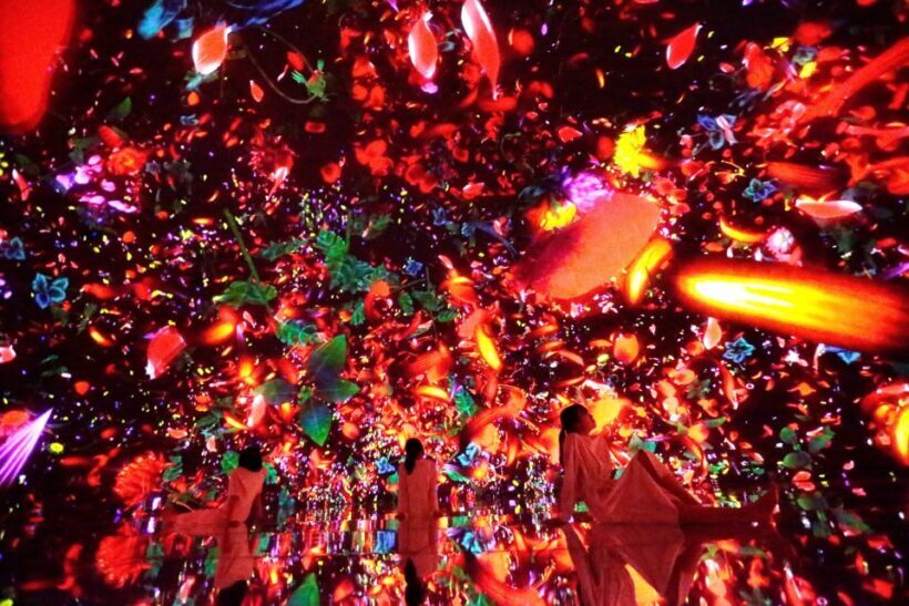Tokyo: teamLab Planets TOKYO Digital Art Museum Entry Ticket - FAQs