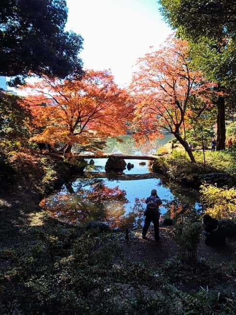 Tokyo: Temples and Rikugien Gardens Guided Walking Tour - Why This Tour Matters