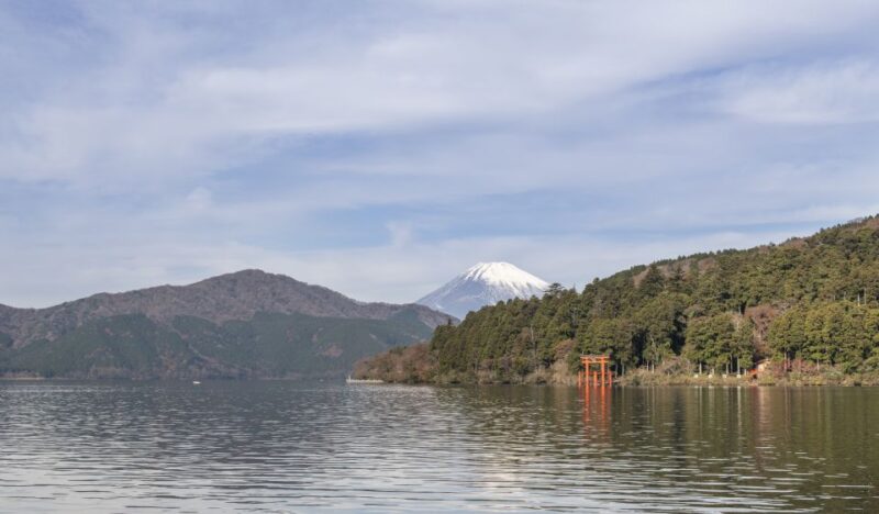 Tokyo to Hakone: Private Scenic Day Trip Experience - Travel Logistics