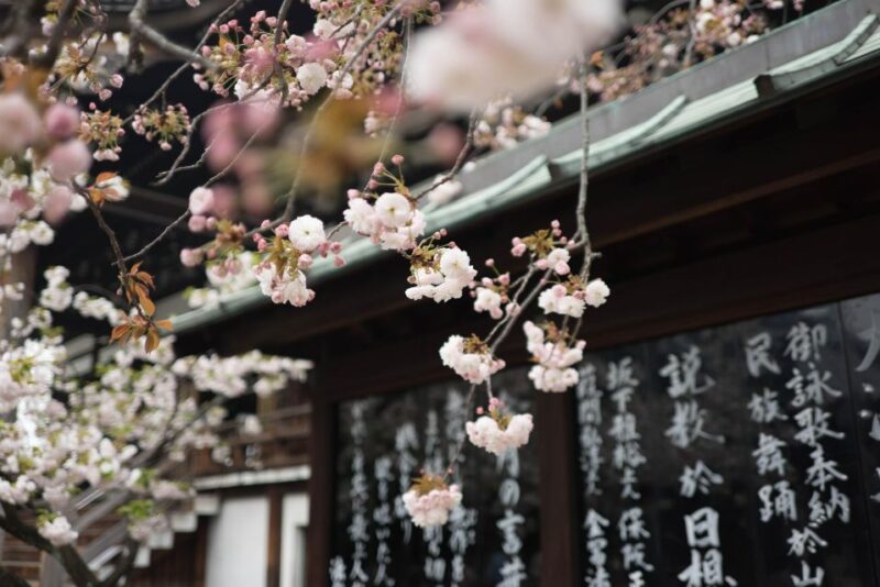 Tokyo to Kawagoe: Private Historical Day Trip - Transportation and Logistics
