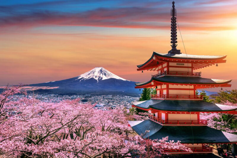 Tokyo to Mount Fuji A Full Day Private Tour From Tokyo - Itinerary Highlights