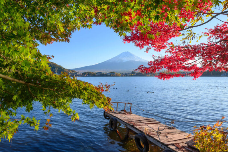 Tokyo to Mount Fuji A Full Day Private Tour From Tokyo - Included Features