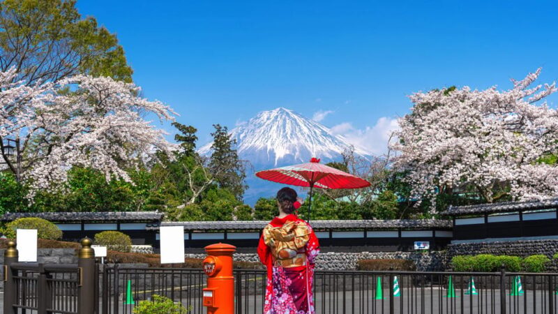 Tokyo to Mount Fuji A Full Day Private Tour From Tokyo - Preparation and Recommendations