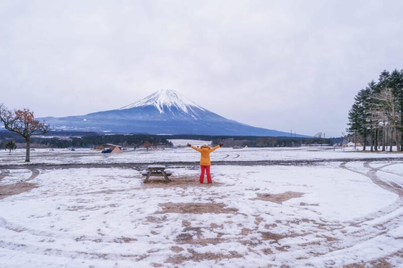 Tokyo to Mount Fuji A Full Day Private Tour From Tokyo - Mount Fuji 5th Station