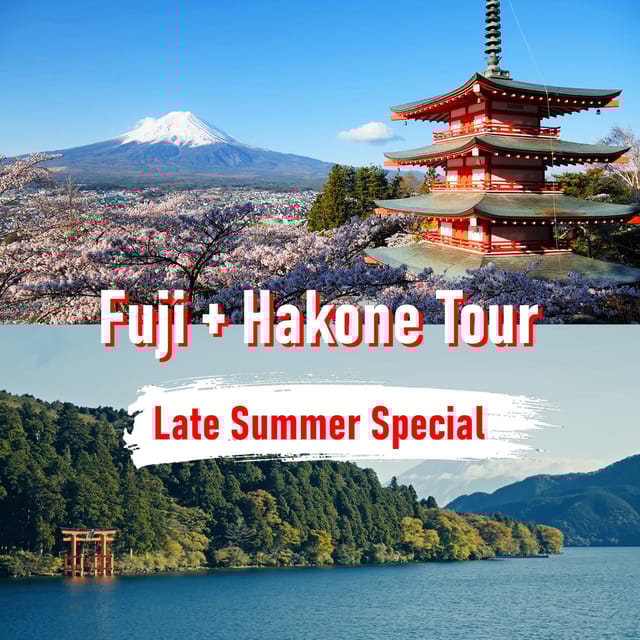 Tokyo to Mount Fuji and Hakone: Private Full-Day Tour - Transportation and Comfort