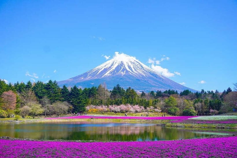 Tokyo To Mount FUJI Day Trip With English guide - The Itinerary: What You’ll See and Experience