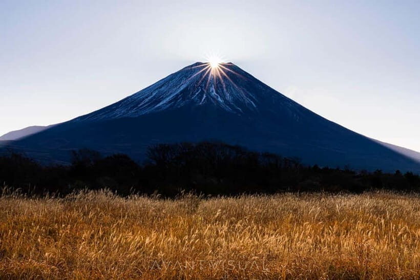 Tokyo To Mount FUJI Day Trip With English guide - Who Will Love This Tour?