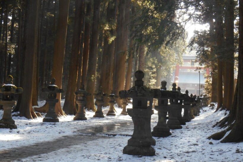 Tokyo To Mount FUJI Day Trip With English guide - FAQ