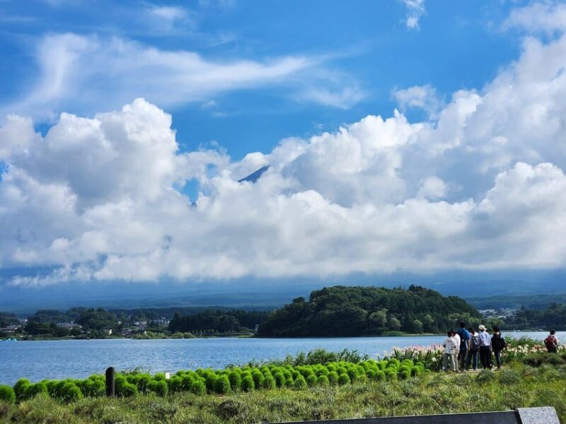 Tokyo to Mt Fuji 5 Lakes Private Tour Green Number Plate Car - Exploring the Five Lakes
