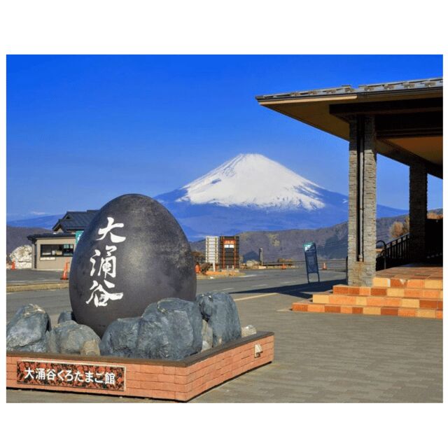 Tokyo to Mt. Fuji & Hakone: Private Customizable Day Trip - Key Points
