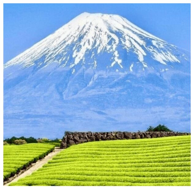 Tokyo to Mt. Fuji & Hakone: Private Customizable Day Trip - Mt. Fuji 5th Station