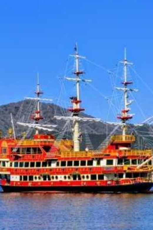 Tokyo to Mt Fuji Private Tour - Experience Features