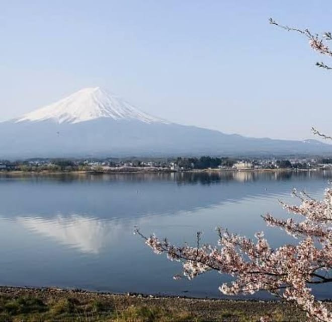 Tokyo to Mt Fuji Private Tour - Exploring the Scenery