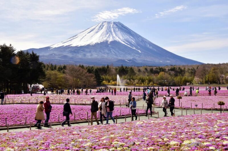 Tokyo to Mt Fuji Private Tour - Local Delicacies and Traditions