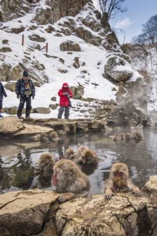 Tokyo To Nagano (Snow Monkey Zenkoji Temple Private Tour) - Inclusions and Costs