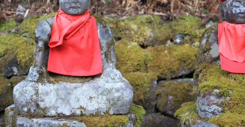 Tokyo to Nikko: Exclusive Private Day Trip - Key Points