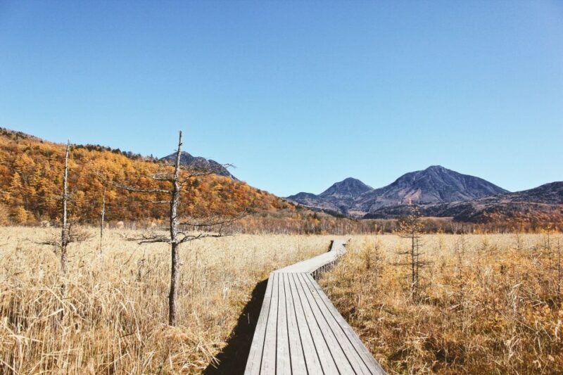 Tokyo to Nikko: Exclusive Private Day Trip - Hiking in Nikkō National Park