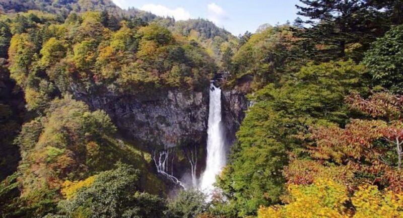 Tokyo to Nikko Private Tour - Customer Feedback