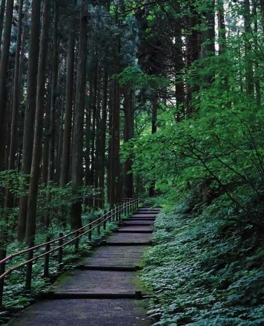 Tokyo: Togakushi Sacred Trail Day Tour with Shinkansen - Key Points