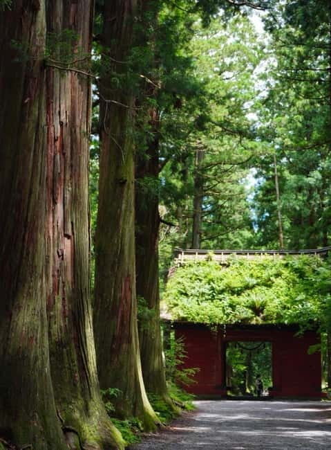 Tokyo: Togakushi Sacred Trail Day Tour with Shinkansen - The Value and Practicalities