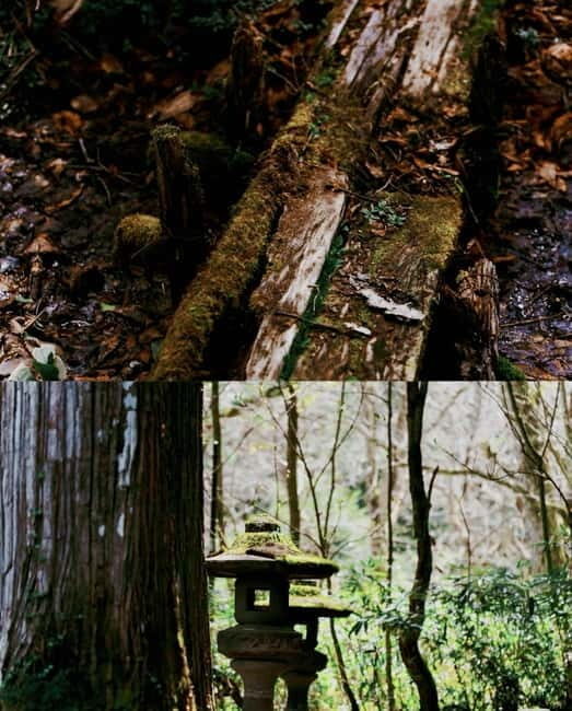 Tokyo: Togakushi Sacred Trail Day Tour with Shinkansen - The Authenticity of the Experience