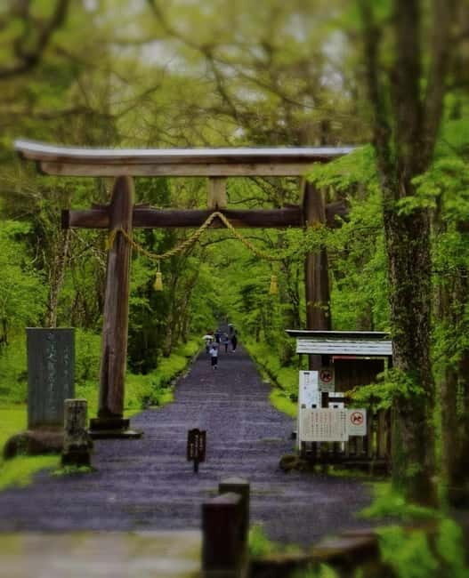 Tokyo: Togakushi Sacred Trail Day Tour with Shinkansen - The Sum Up