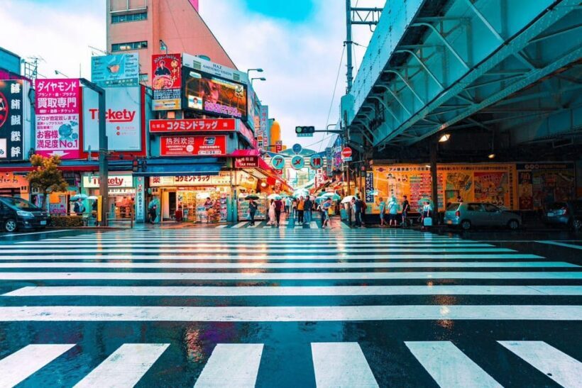 Tokyo: Tokyo Private Customize Day Tour With English Driver - Introduction