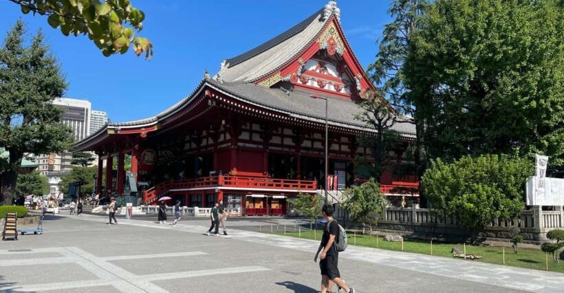 Tokyo: Tokyo Private Customize Day Tour With English Driver - The Experience for Different Travelers