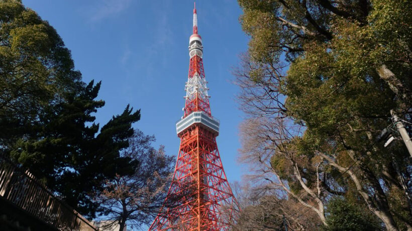 Tokyo: Top 3 Hidden Tokyo Tower Photo Spots and Local Shrine - Why This Tour Offers Good Value