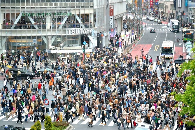 Tokyo Tour, From/To Tokyo,Yokohama, TDR, Narita, 2- 12 Guests - Cancellation Policy