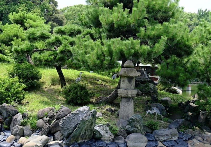Tokyo Tour: Imperial Palace, Sake, Robots, Gardens & Museum - An In-Depth Look at What You Can Expect