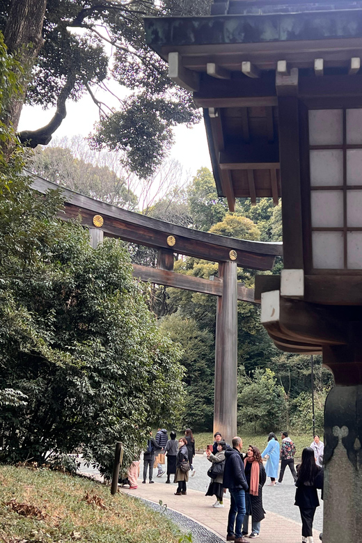 Tokyo Tour With Private Vehicle and English Speaking Guide - Discovering Harajukus Fashion Scene and Meiji Shrine