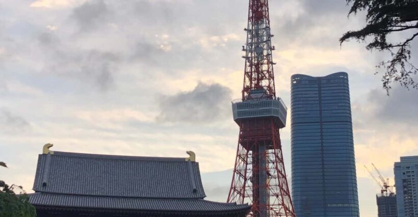 Tokyo Tours in Spanish (Tsukiji Market-Ginza-Tokyo Tower) - Final Thoughts