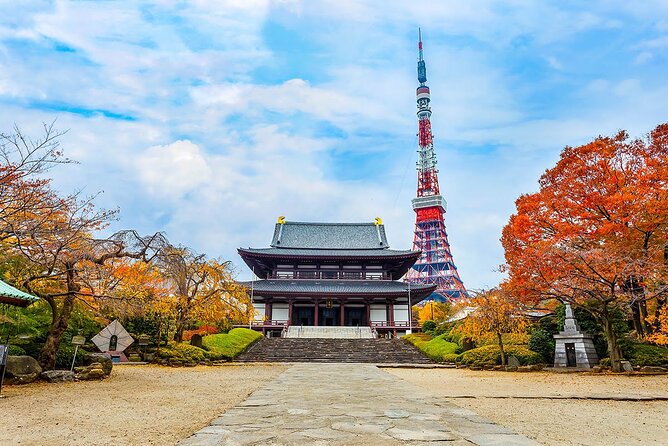 Tokyo Tower Observation Deck E-Tickets. - Nearby Attractions and Experiences