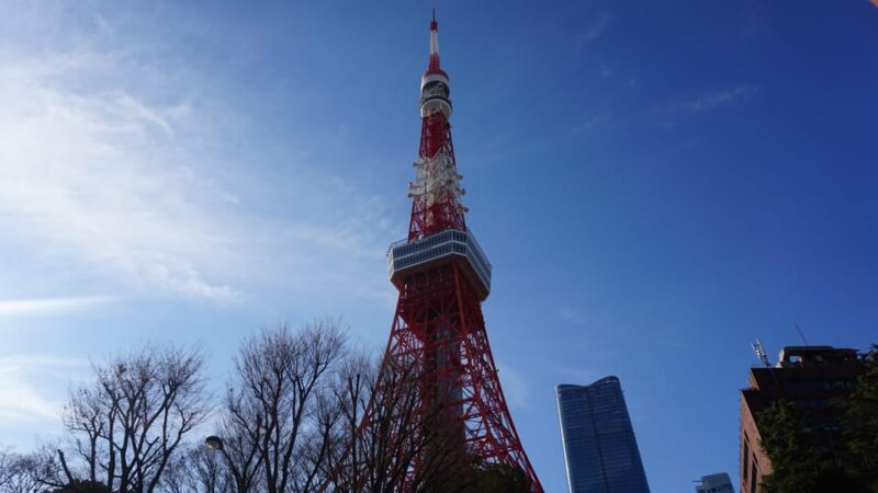 Tokyo Tower Secret Photo Spot and Skyline Tour - Panoramic View From the Top Deck