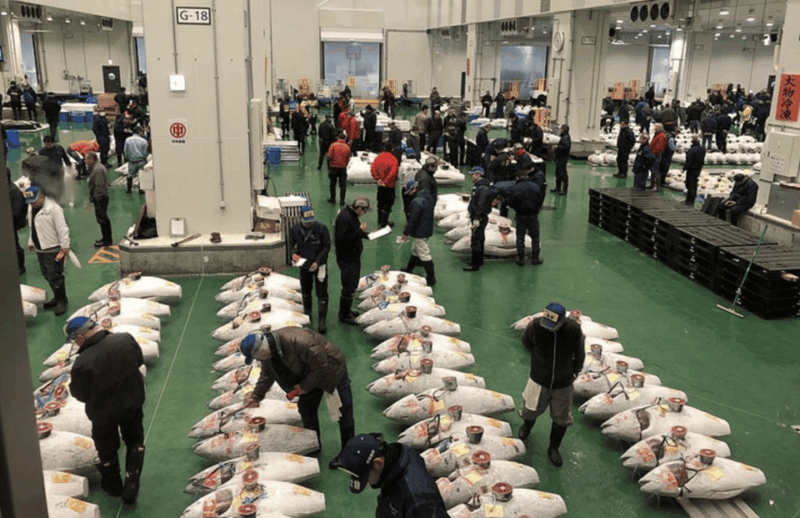 Tokyo: Toyosu & Tsukiji Market Adventure With Tuna Auction - Itinerary Highlights
