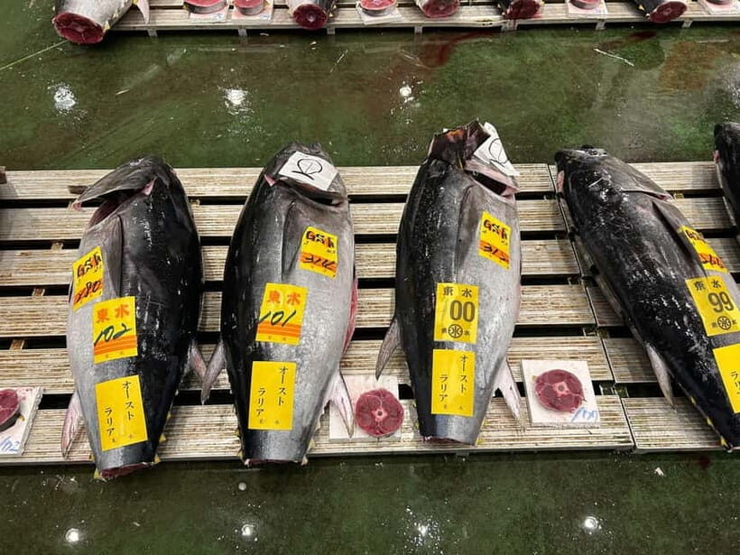 Tokyo Toyosu Tuna Auction w Dealer + Sushi (Standard to VIP) - An In-Depth Look at the Experience