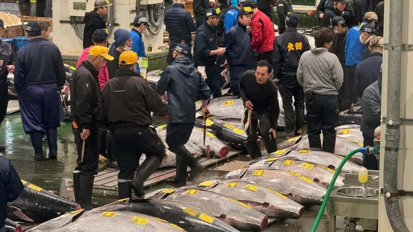 Tokyo: Toyosu Tuna Auction+Seafood Breakfast/Tsukiji Stroll - The Tsukiji Stroll