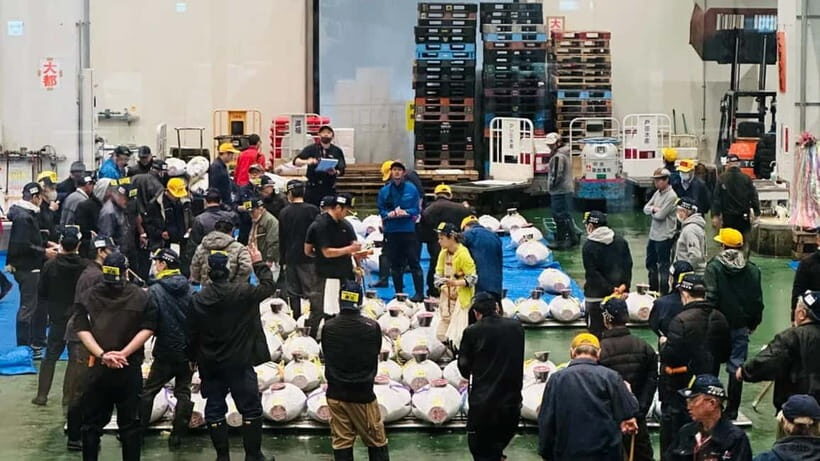 Tokyo: Toyosu Tuna Auction+Seafood Breakfast/Tsukiji Stroll - What to Wear and Bring