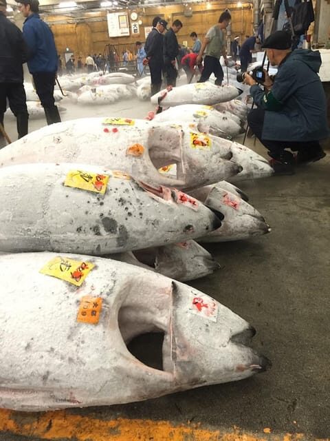 Tokyo: Tsukiji Fish Market Foodie and Educational Tour - FAQ