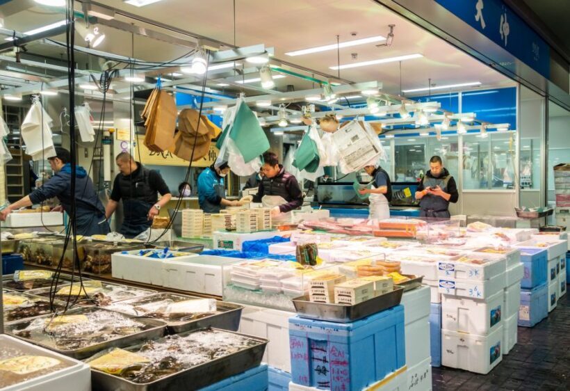 Tokyo Tsukiji Food & Culture Private Tour Licensed Guide - Discovering Tokyo’s Food & Culture with a Private Guide