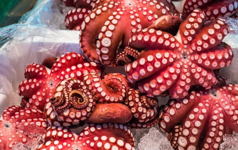 Tokyo: Tsukiji Market Small Group Tour - Why This Tour Offers Great Value