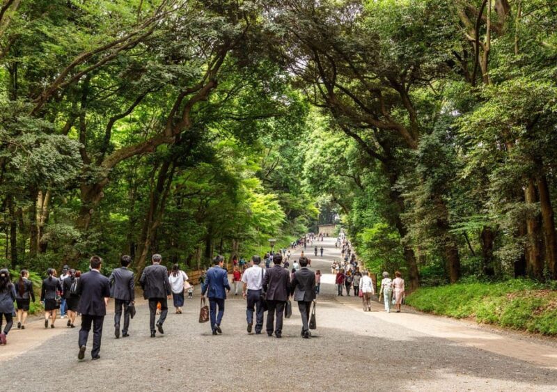 Tokyo Uncovered: A Luxury Day of Tradition & Tech - Dining and Culinary Experiences